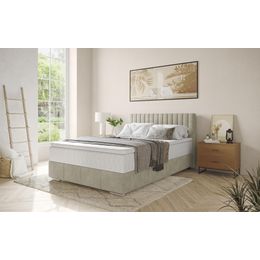 Boxbett Inosign "Thor mit Bettkasten, inkl. Matratze, Topseller", beige (aqua clean pascha 02 natur), B:146cm L:208cm, Baumwolle, Polyester, Komplettbetten, Boxspringbett, Topper und Zierkissen, in verschiedenen Härtegraden verfügbar