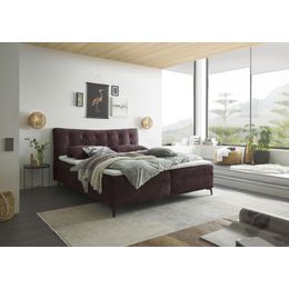 Boxbett ED EXCITING DESIGN "Melrose", lila (aubergine), B:182cm L:210cm, 100% Polyester, Komplettbetten, Boxspringbett, inkl. Topper