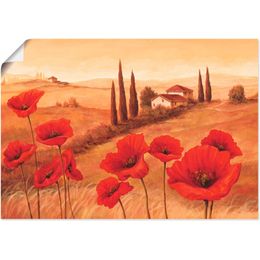 Wandbild Artland "Mohnblumen in der Toskana", braun (farbe bild(er): braun), B:70cm, Papier, Bilder, als Leinwandbild, Poster, Wandaufkleber in verschied. Größen