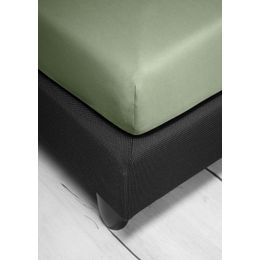 Spannbettlaken Irisette "Kuschel Jersey Spannbettlaken Vesuv", grün (salbei), L:200cm, Jersey, Obermaterial: 100% Baumwolle, Bettlaken, mit Rundumgummizug