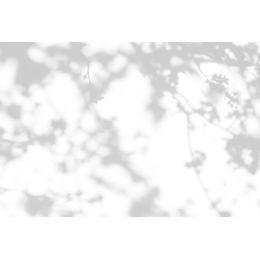 Livingwalls Fototapete LIVING WALLS "Walls by Patel Light Room", grau, B:4m L:2,7m, Vlies, Tapeten, Vlies, Wand