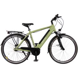 E-Bike MAXTRON "MT 11X" Gr. 54, grün (reseda, grün, schwarz), Elektrofahrräder, 54cm, 28 Zoll (71,12cm), Pedelec, Elektrofahrrad für Herren