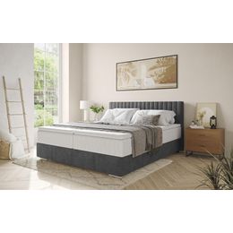 Boxbett Inosign "Thor mit Bettkasten, inkl. Matratze, Topseller", grau (aqua clean pascha 214 anthrazit), B:186cm L:208cm, Baumwolle, Polyester, Komplettbetten, Boxspringbett, Topper und Zierkissen, in verschiedenen Härtegraden verfügbar
