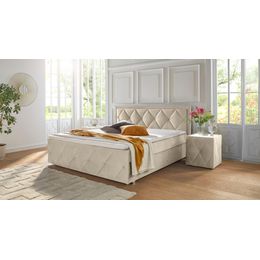 Boxbett LEONIQUE "Alfie, Topseller Inkl. Bettkasten&Topper", beige, L:211cm, Holzwerkstoff, Spanplatte, Komplettbetten, Wahlweise mit Knopfsteppung oder Strasssteinen, H2, H3 und H4 wählbar, Topseller