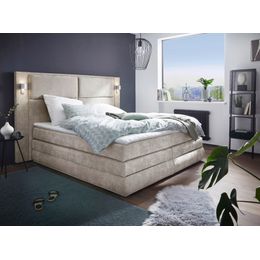 Boxspringbett Collection AB "Copenhagen", grau (silbergrau), B:231cm L:215cm, Holzwerkstoff, Spanplatte, Komplettbetten, inklusive Bettkasten, Topper, wahlweise mit LED-Beleuchtung, Topseller