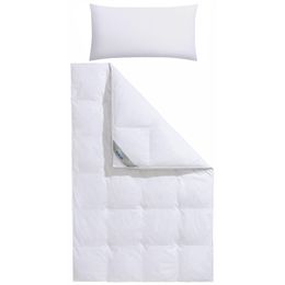 Daunenbettdecke + Kopfkissen Balette "Lena", weiß, B/L: 135cm x 200cm Anzahl Teile 1, B/L: 40cm x 80cm Anzahl Teile 1, Bezug: Baumwolle Füllung: Entendaune/-feder, warm, Bettdecken Bezug: 100% Baumwolle. Kopfkissen Bezug: 100% Baumwolle. Bettdecken Füllung: 50% Daunen, 50% Federn. Kopfkissen Füllung: 100% Federn, Bettwaren-Sets, In zwei Wärmeklassen, in Größe 135x200 cm & 155x220 cm erhältlich