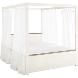 Himmelbett "York Schlafen", wei&szlig; (pino aurelio, pino aurelio, pino aurelio), B:185,6cm H:200,4cm L:208,4cm, SET ONE BY Musterring, Betten, Liegefl&auml;che 180 x 200 cm, drei Farbausf&uuml;hrungen, inklusive Gardinenset