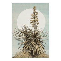 Bild Komar "Plans de Lagon", bunt (farbe bild(er): bunt), B:50cm H:70cm, Holz, Papier, Bilder, Wandbild zur Dekoration - ohne Rahmen
