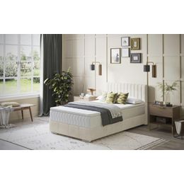 Boxbett Inosign "Thor mit Bettkasten, inkl. Matratze, Topseller", beige (stripes 8622 natur), B:126cm L:208cm, Komplettbetten, Boxspringbett, Topper und Zierkissen, in verschiedenen Härtegraden verfügbar