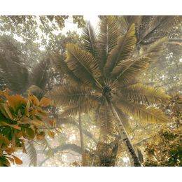 Fototapete Komar "Digitaldruck Vlies - Palms Panorama - Größe 300 x 250 cm", bunt, B:3m H:2,5m L:0,01m, Vlies, Tapeten, Wohnzimmer, Schlafzimmer