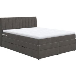 Boxspringbett COTTA "Shark inkl. Bettkasten und Topper", grau (dunkelgrau), B:186cm L:212cm, 100% POLYESTER (PES), Komplettbetten, erhältlich in den Breiten 140x200cm, 160x200cm und 180x200cm, Topseller