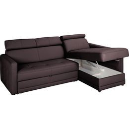 Ecksofa exxpo - SOFA FASHION "Arles, Federkern, OTTOs Choice, zeitlos, Breite 225cm, L-Form", braun (schoko), B:225cm H:94cm T:165cm, Kunstleder SOFTLUX;NaturLEDER (echtes Rindsleder) in Sitz und R&uuml;cken. Korpus in passendem Kunstleder SOFTLUX bezogen, Sofas, Ecksofa, wahlweise mit Bettfunktion und Bettkasten, inkl. Kopfteilverstellung