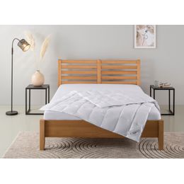 Daunenbettdecke Home Affaire "Moulle, Bettdecke 135x200 cm und 155x220 cm", weiß, B:155cm L:220cm, Bezug: 100% Baumwolle. Füllung: 90% Daunen, 10% Federn, Bettdecken, Bettdecken, Sommer oder Winter, Decke, Made in Germany, atmungsaktiv