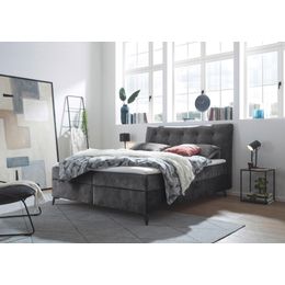 Boxbett ED EXCITING DESIGN "Melrose", grau (anthrazit), B:182cm L:210cm, 100% Polyester, Komplettbetten, Boxspringbett, inkl. Topper