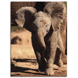 Leinwandbild Artland "Elefantenbaby", braun (farbe bild(er): braun), B:45cm H:60cm T:1,8cm, Canvas, Leinwand, Bilder, auf Keilrahmen gespannt