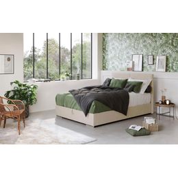 Boxbett COTTA "Tom mit Bettkasten, Topper und Zierkissen", beige, B:125cm L:209cm, Komplettbetten, Bett Betten mit Bettkasten, Bestseller, Unser Dauertiefpreis, Topseller