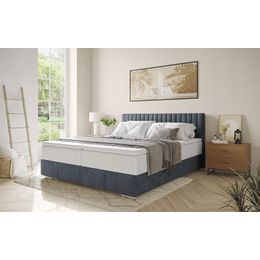 Boxbett Inosign "Thor mit Bettkasten, inkl. Matratze, Topseller", blau (aqua clean pascha 653 blaugrau), B:186cm L:208cm, Baumwolle, Polyester, Komplettbetten, Boxspringbett, Topper und Zierkissen, in verschiedenen Härtegraden verfügbar