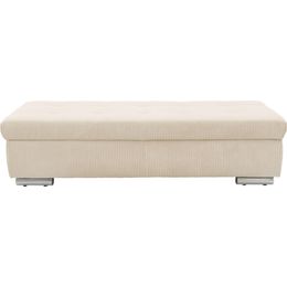 Hocker DOMO collection "Treviso XXL: B/T/H: 161/60/41 cm", beige (creme), B:161cm H:41cm T:60cm, 100% Polyester, Hocker, Hocker mit Stauraum Polsterhocker, mit Stauraum, auch in Cord, passend zur Serie, moderne Steppung