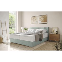 Boxbett Inosign "Thor mit Bettkasten, inkl. Matratze, Topseller", blau (stripes 8624 blau grau), B:186cm L:208cm, Komplettbetten, Boxspringbett, Topper und Zierkissen, in verschiedenen Härtegraden verfügbar