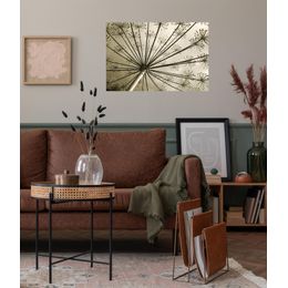 Wandsticker queence "Lisa", beige, B:90cm H:60cm T:0,1cm, Folie, Wandtattoos, Selbstklebend, kinderleichte Anbringung