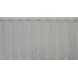Scheibengardine Stickereien Plauen "Pescara" Gr. 11, wei&szlig; (wei&szlig;, beige), B:193cm H:54cm, Voile, Polyester, Gardinen