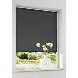 Seitenzugrollo my home "Themse-Uni" Gr. 1, grau (anthrazit), B:45cm H:150cm, Polyester, Rollos, Bestseller mit 1500 4,5-Sterne-Bewertungen, Klemmträger Bestseller