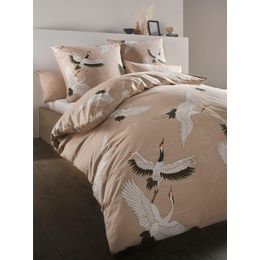 Bettwäsche HEINE HOME Gr. 5, beige (sand, gemustert), B/L: 135cm x 200cm, Renforcé, B/L: 40cm x 80cm, 2 Stk., Renforcé, 100% Baumwolle, Bettwäsche