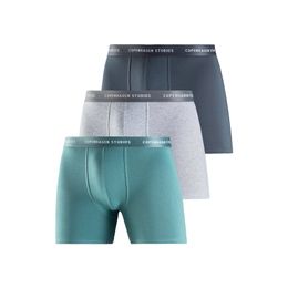 Langer Boxer Copenhagen Studios "Boxershorts für Herren", Herren, Gr. L, grün (salbei, dunkelsalbei, grau, meliert), Jersey, Obermaterial: 95% Baumwolle, 5% Elasthan (LYCRA), unifarben, Unterhosen, mit längerem Bein und Logobund