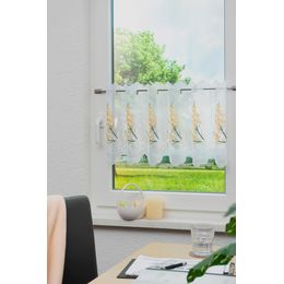 Panneaux Stickereien Plauen "Saskia" Gr. 3, wei&szlig;, B:160cm H:45cm, Voile, Polyester, Gardinen