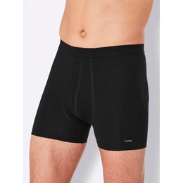 Panty COMTE, Herren, Gr. 8, schwarz, 95% Baumwolle, 5% Elasthan, Unterhosen