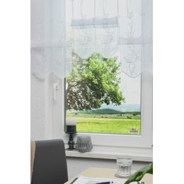Scheibengardine Stickereien Plauen "Kiara" Gr. 1, orange (terrakotta), B:95cm H:95cm, Voile, Polyester, Gardinen