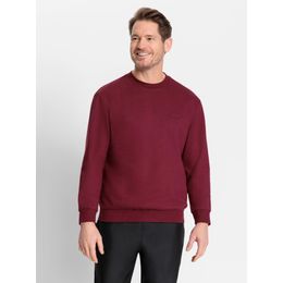 Sweatshirt Catamaran, Herren, Gr. 64/66, rot (bordeaux), 100% Baumwolle, unifarben, Rundhals, Sweatshirts Sweatshirt