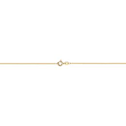 Collierkettchen Firetti "Schmuck Geschenk Gold 333 oder 585 Halskette Panzerkette diamantiert" Gr. 36, gold (gelbgoldfarben), Halsketten, Damen, 36, Gelbgold 333, B: 1,2mm, Made in Germany, B:1,2mm