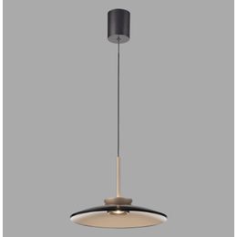 Paul Neuhaus PURE E-Moon Pendelleuchte LED Bronze, 2-flammig, Fernbedienung