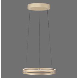 Paul Neuhaus PURE E-Loop Pendelleuchte LED Messing, 2-flammig, Fernbedienung
