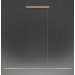 Paul Neuhaus PURE Surface Pendelleuchte LED Bronze, 1-flammig