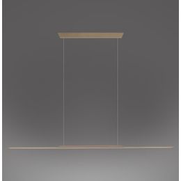 Paul Neuhaus PURE Surface Pendelleuchte LED Bronze, 1-flammig