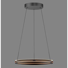 Paul Neuhaus PURE E-Loop Pendelleuchte LED Schwarz, 2-flammig, Fernbedienung