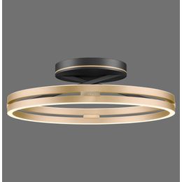 Paul Neuhaus PURE Loop Deckenleuchte LED Gold, Schwarz, 2-flammig, Fernbedienung