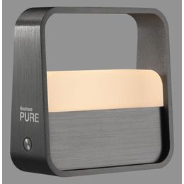 Paul Neuhaus PURE Go Tischleuchte LED Grau, 1-flammig