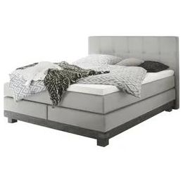 Boxspringbett Hasena "Boston", grau (grau, akazie grau), B:148cm L:210cm, Komplettbetten, Boxspringbett, Massivholz-Sockel, Punktsteppung im Kopfteil, Federkernmatratze