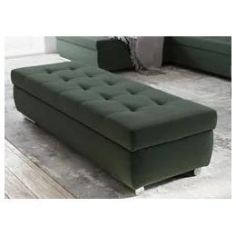 Hocker DOMO collection "Treviso XXL: B/T/H: 161/60/41 cm", beige (creme), B:161 H:41 T:60, 100% Polyester, Hocker, Hocker mit Stauraum Polsterhocker, mit Stauraum, auch in Cord, passend zur Serie, moderne Steppung
