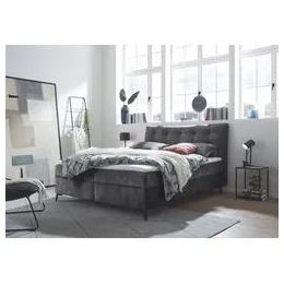 Boxbett ED EXCITING DESIGN "Melrose", grau (anthrazit), B:162cm L:210cm, 100% Polyester, Komplettbetten, Boxspringbett, inkl. Topper