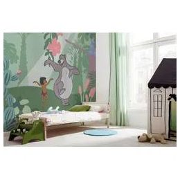 Fototapete Komar "Digitaldruck Vlies - Jungle Book Just Kidding - Größe 300 x 250 cm", bunt, Rollen:, Vlies, Tapeten, Kinderzimmer