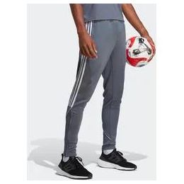 Trainingshose Adidas PERFORMANCE "TIRO23 L PNT", Herren, Gr. XXL, N-Gr, grau (team onix), Obermaterial: 100% Polyester, Sportlich, Hosen