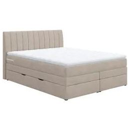 Boxspringbett COTTA "Shark inkl. Bettkasten und Topper", beige (natural), B:166cm L:212cm, 100% POLYESTER (PES), Komplettbetten, erhältlich in den Breiten 140x200cm, 160x200cm und 180x200cm, Topseller