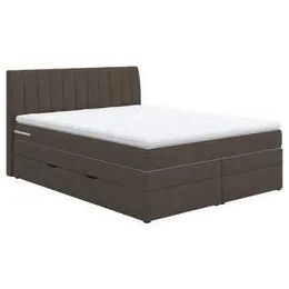 Boxspringbett COTTA "Shark inkl. Bettkasten und Topper", braun (espresso), B:186cm L:212cm, 100% POLYESTER (PES), Komplettbetten, erhältlich in den Breiten 140x200cm, 160x200cm und 180x200cm, Topseller