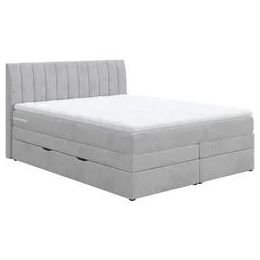 Boxspringbett COTTA "Shark inkl. Bettkasten und Topper", grau (argent), B:186cm L:212cm, 100% POLYESTER (PES), Komplettbetten, erhältlich in den Breiten 140x200cm, 160x200cm und 180x200cm, Topseller