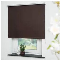 Seitenzugrollo Liedeco "Thermo-Rollo" Gr. 1, braun, B:62cm H:180cm, Polyester, Rollos