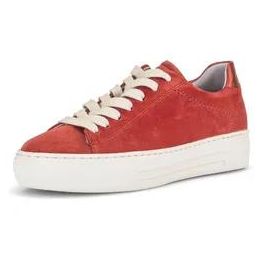 Sneaker Gabor COMFORT "Gabor Comfort Sneaker Veloursleder", Damen, Gr. 40, rot, Veloursleder, casual, Schuhe